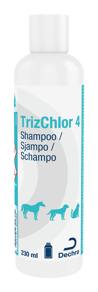 Shampoo Dechra TrizChlor4 230 ml | Vetapotek
