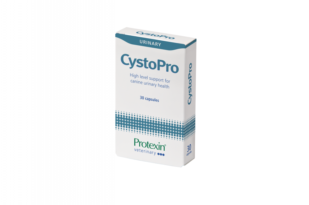 Urintillskott Protexin Cystopro Hund och Katt 30 st | Vetapotek