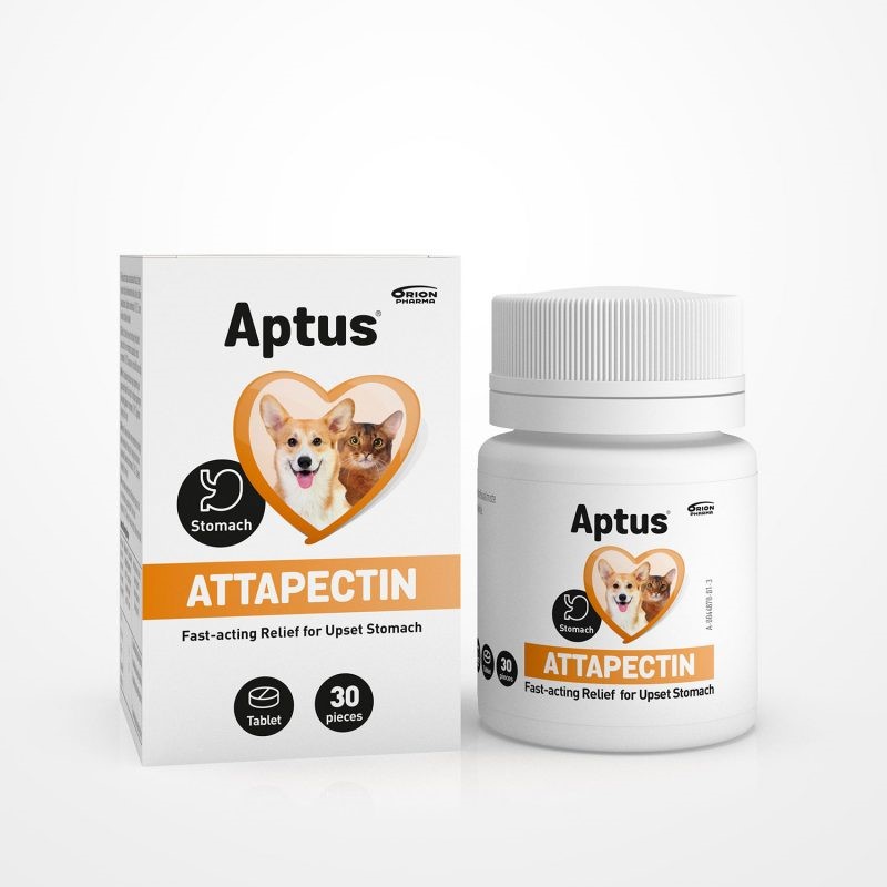 Tarmstöd Orion Pharma Aptus Attapectin Tabletter 30st | Vetapotek
